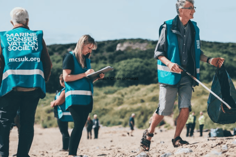 Hemlock Water Dropwort Root: Cornwall's Deadly Beach Discovery